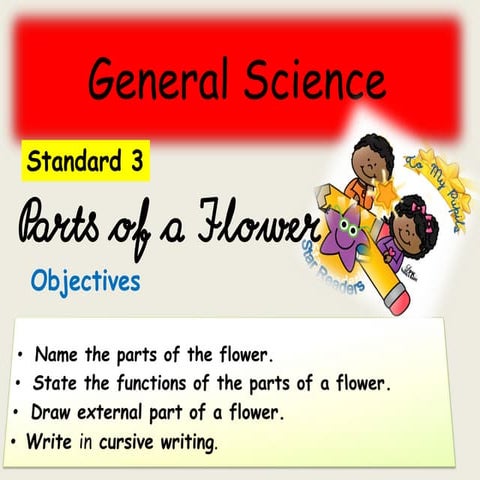 Parts Of The Flower Lesson | PPT