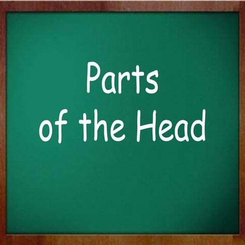 Parts of the head | PPTX