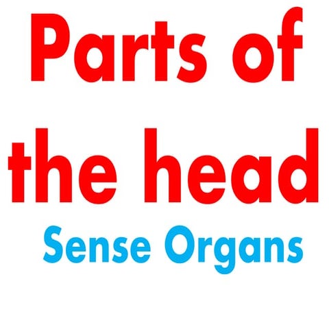 Parts of the head five sense organ | PPTX | Ear, Nose and Throat ...