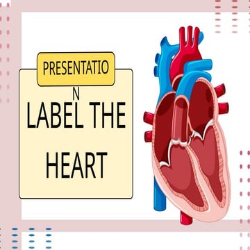 Parts of the Heart Anatomy Biology Presentation in a Colorful Bold ...