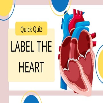 Parts of the Heart Anatomy Quiz Presentation in a Colorful Bold Style.pptx