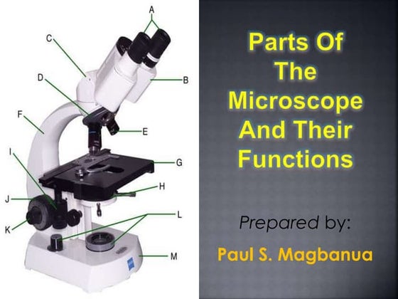 microscope | PPT