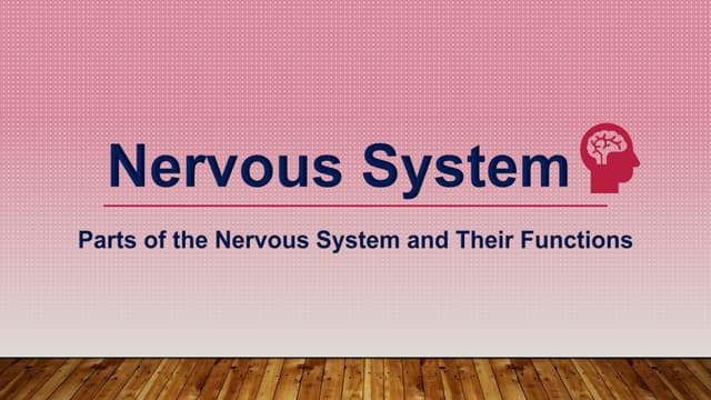 The Human Brain, Its Parts and Functions | PPTX