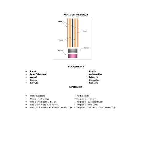 Parts of the pencil | DOCX