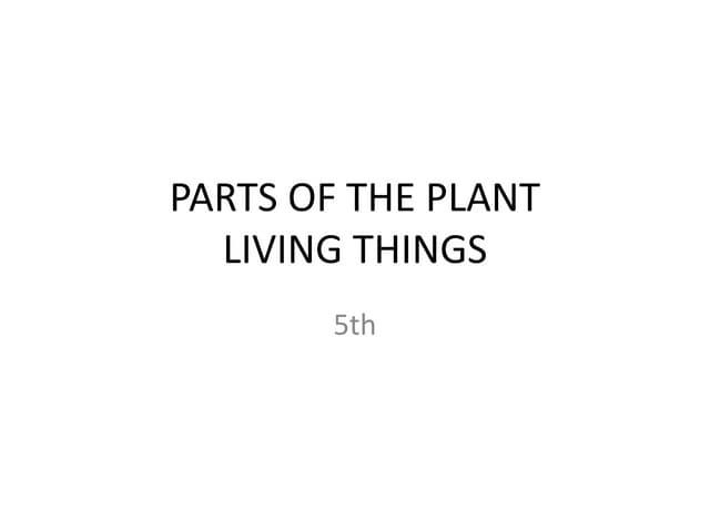 Topic: Parts of a plant for the 4th grades | PPTX