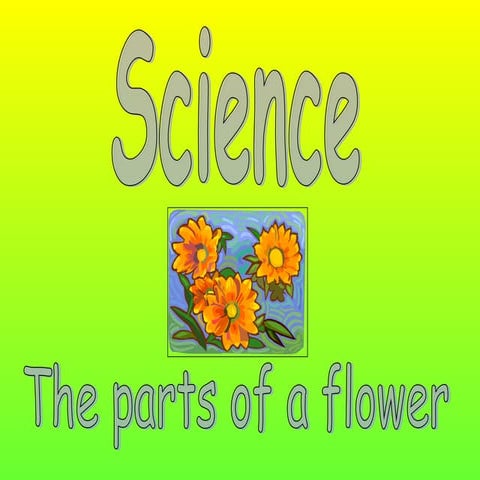 Plants and life processes | PPT