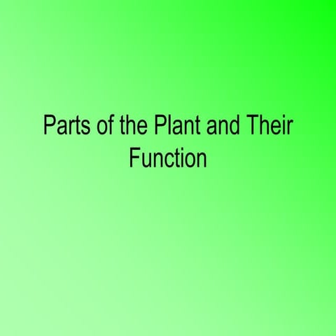 Parts of the plant ppt presentation | PPT