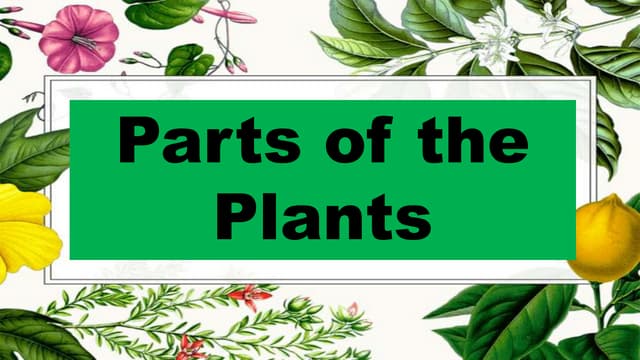 Second Grade Science: Plants | PPT