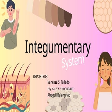 Parts of the Skin Science Presentation in Colorful Illustrative Style ...