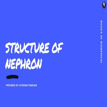 Structure of nephron and functions of its parts | PPTX