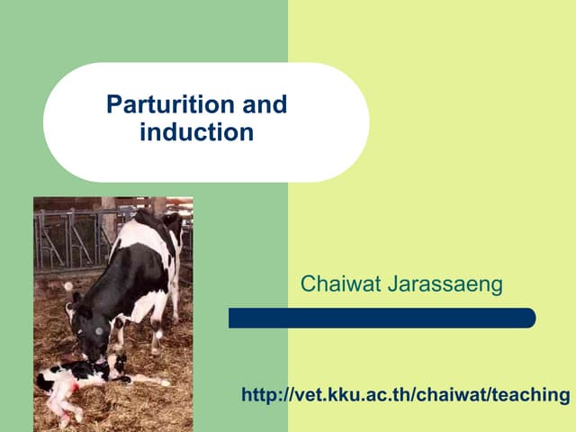 Stages of parturition in farm animals. | PPTX
