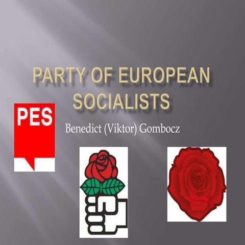 Party of European Socialists | PPTX