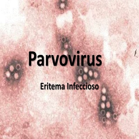 Parvovirus canino. | PPTX