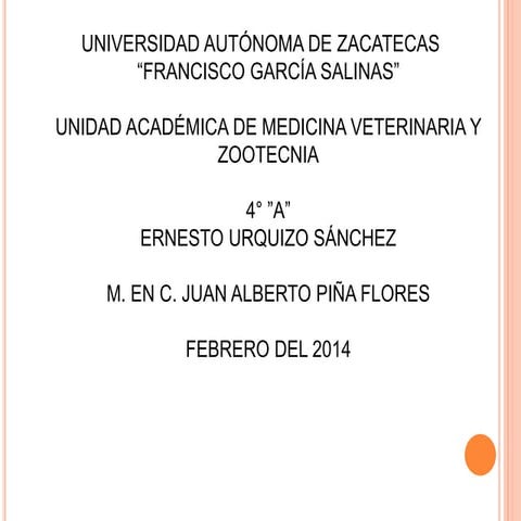 Parvovirus canino. | PPTX