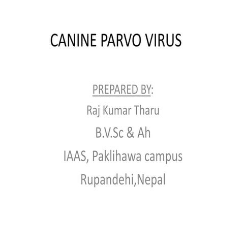Parvo virus infection in dog - preventive medicine | PPTX