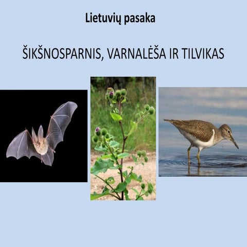 2b - Lietuvių pasaka | PPT