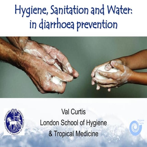 Hygiene, Sanitation and Water: in diarrhoea prevention | PDF