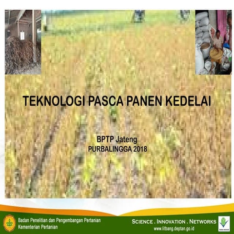 pasca panen kedelai di lahan persawahan.ppt