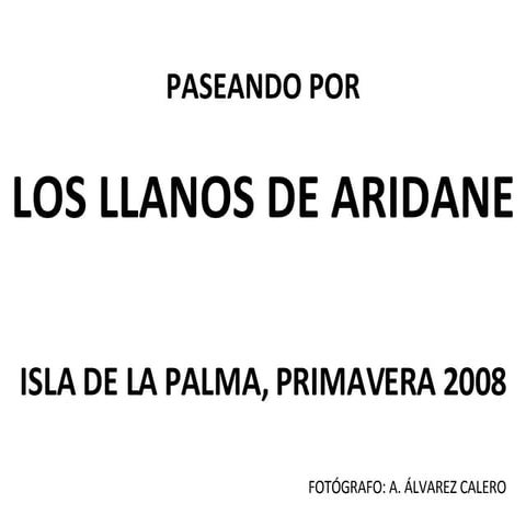 PASEANDO POR LOS LLANOS DE ARIDANE | PPS