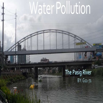 Pasig river Pollution | PPTX | Environment | Science