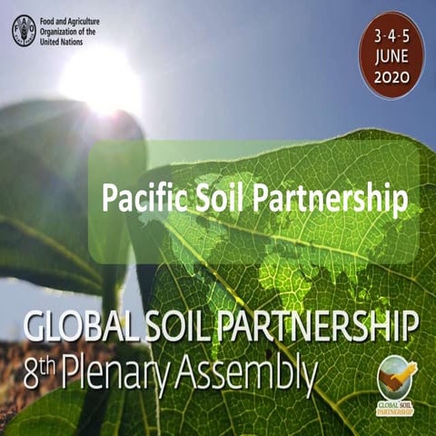VIIf - INBS - Global Black Soil Distribution Assessment | PPTX