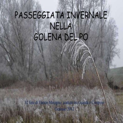 Passeggiata invernale 2012 | PPT