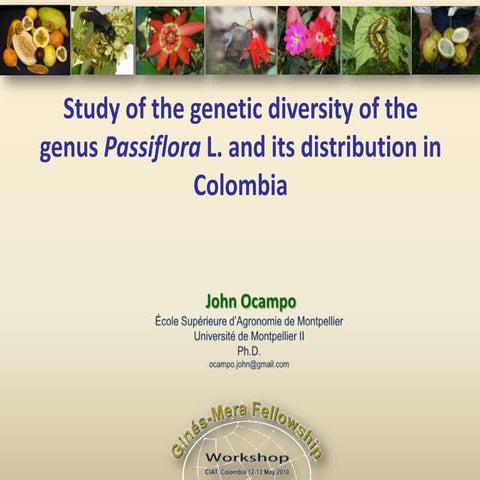 Study of the genetic diversity of the genus Passiflora L. and its ...