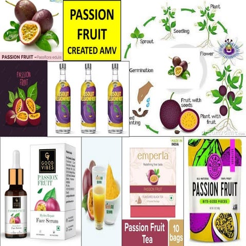 PASSION FRUIT.pdf