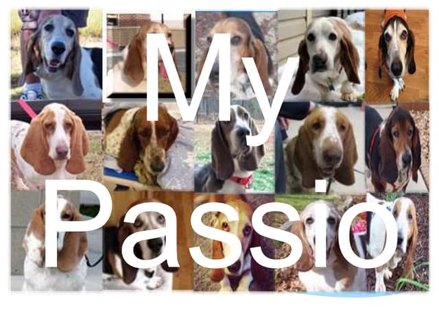 Passion project presentation | PPTX