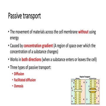 Passive transport.pptx