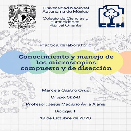 PREPARACION DE MUESTRAS PARA SU OBSERVACION AL MICROSCOPIO OPTICO | PPTX