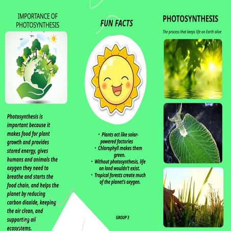 Photosynthesis, importance and functions | PPTX