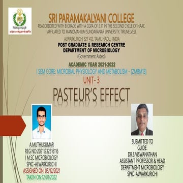 PASTEUR EFFECT.pptx