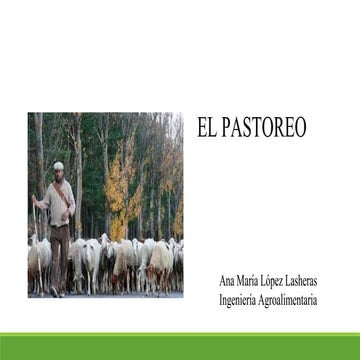 Pastoreo | PPT