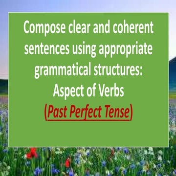 PAST PERFECT TENSE.pptx