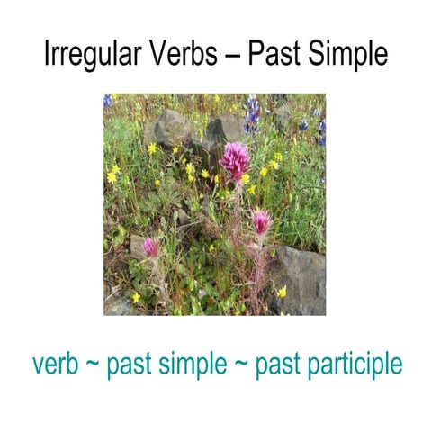 Past Simple Irregular Verbs | PPS