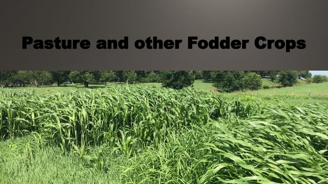 1.FORAGE AND PASTURE.pptx