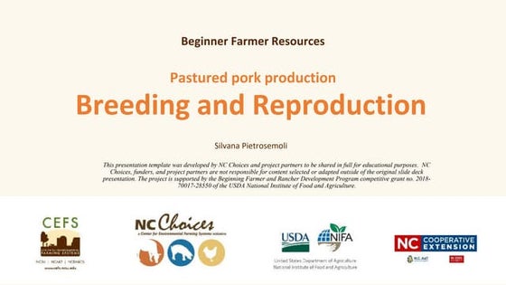 Care and management sow and gilts | PDF