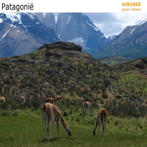 Rondreis Patagonie - Sawadee Reizen | PPT