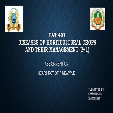 HEART ROT OF PINEAPPLE | PPTX