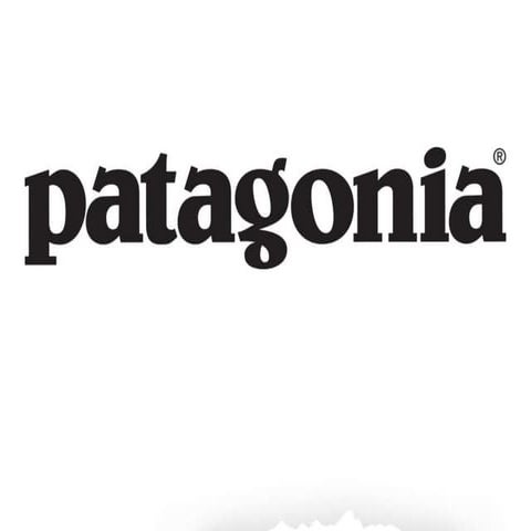 Patagonia Ad Campaign | PPTX