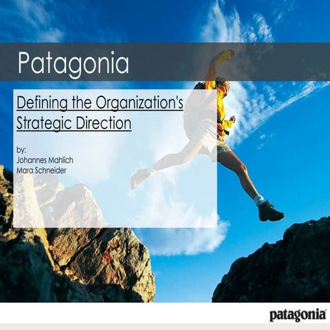 Environmental Differentiation Strategy of Patagonia | PPTX