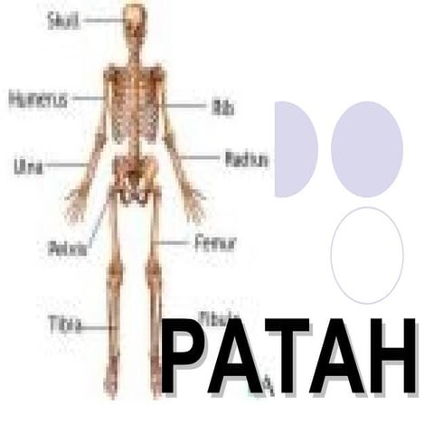 Patah | PPT