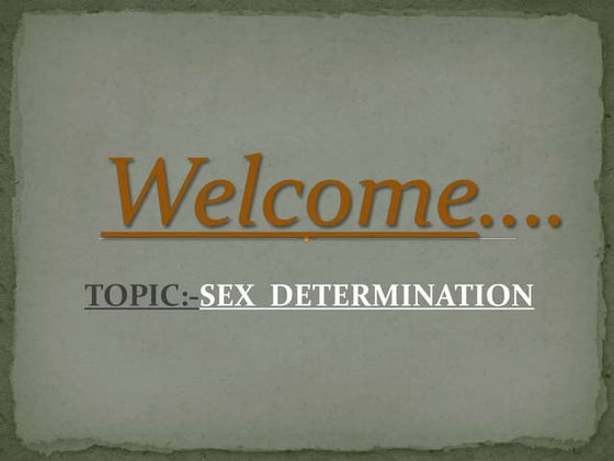 Sex Determination Chromosomal Theory Of Sex Determination Ppt