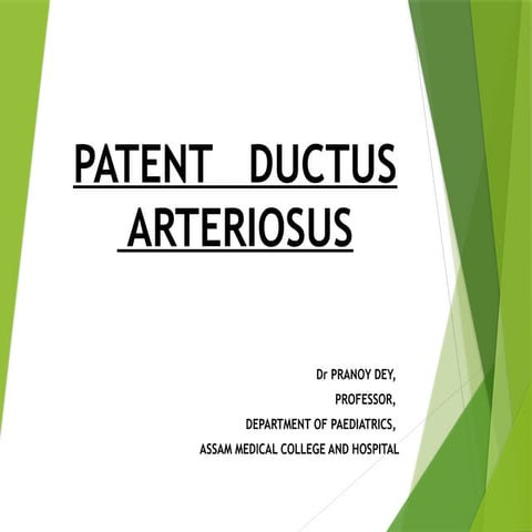 Patent Ductus Arteriosus (PDA) Echocardiographic Assessment: Anatomy ...