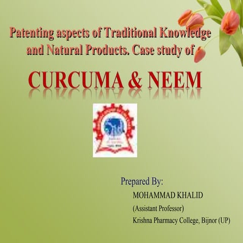 Case study on Neem, Turmeric and Basmati rice | PPTX