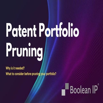 Patent Portfolio Pruning.pdf
