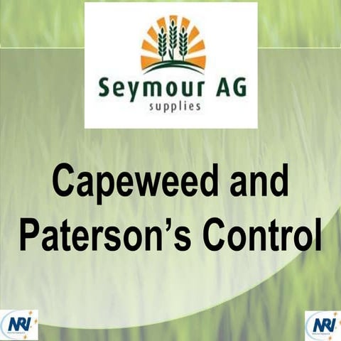 Capeweed and Paterson’s Curse Control | PPTX