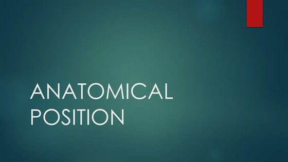 Anatomical Position and Basic Movements | PPT