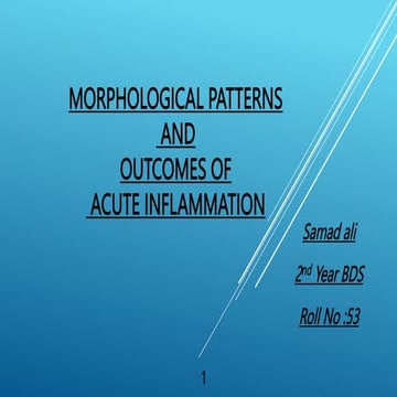 Morphological patterns and outcomes of acute inflammation | PPTX